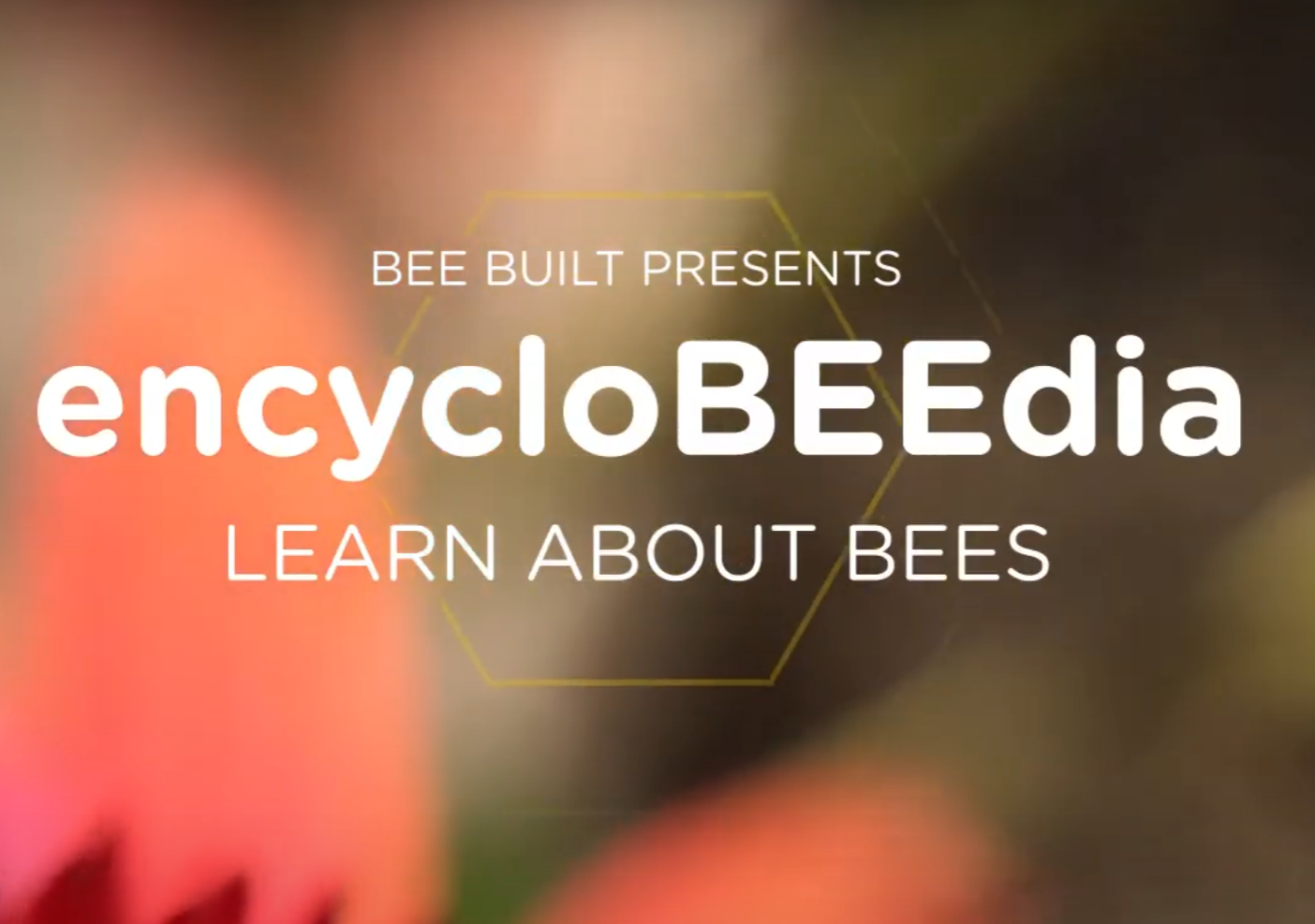 encycloBEEdia: How do bees keep track of the queen? – BeeBuilt