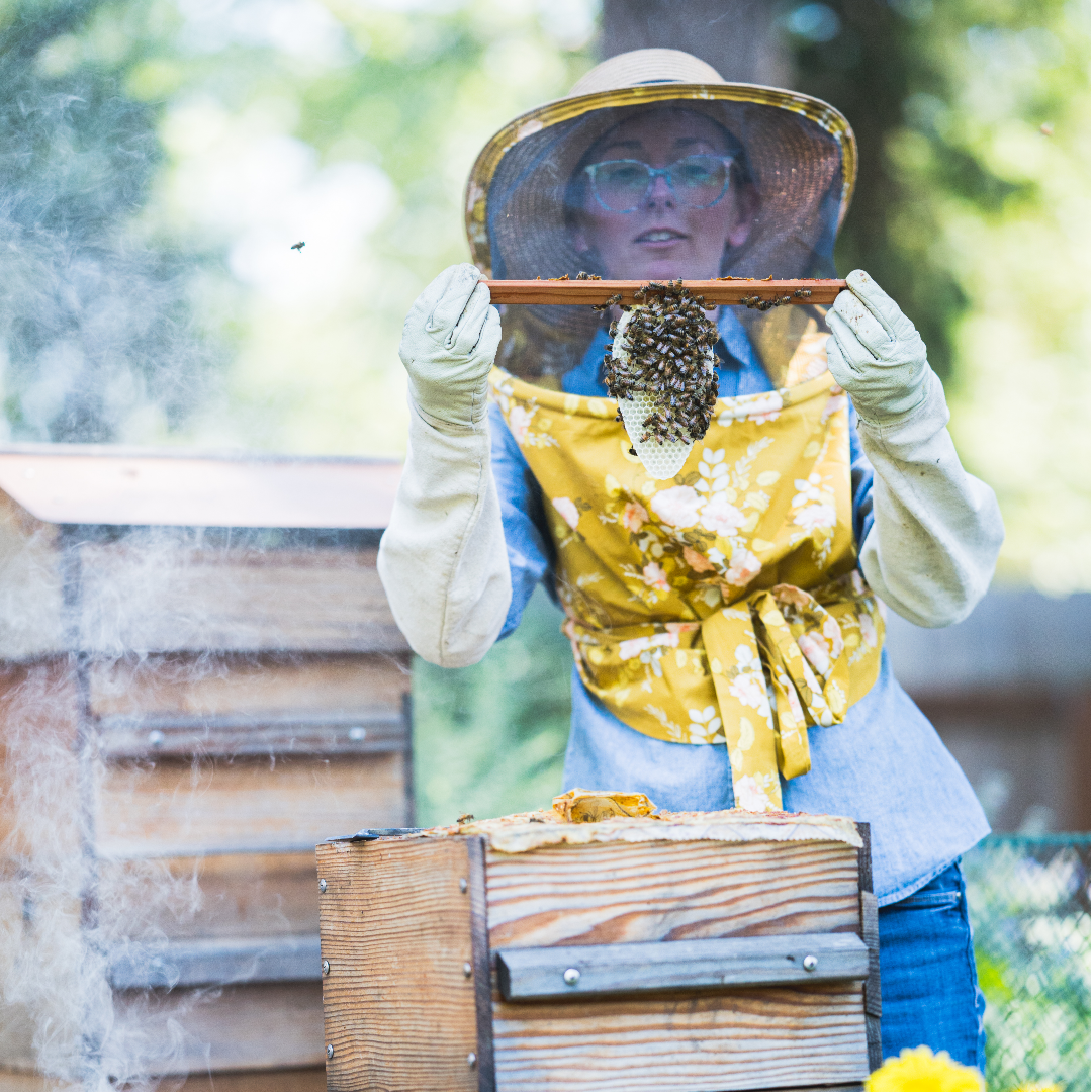 Wax Production & The Environment – BeeBuilt