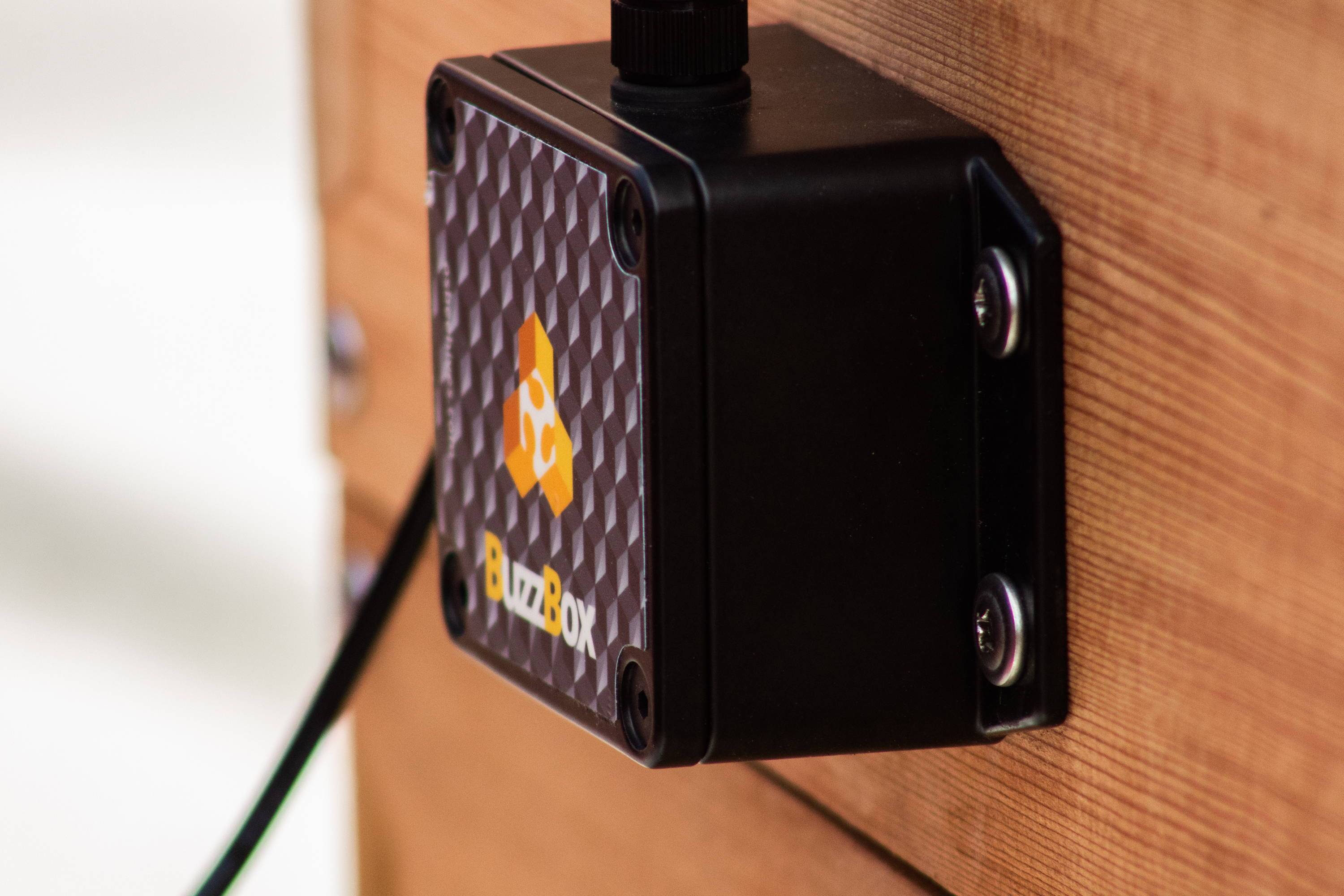 Small Business Spotlight: BuzzBox – BeeBuilt