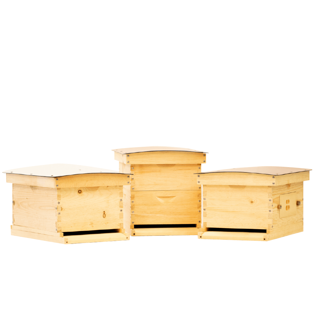 Standard Hives – BeeBuilt