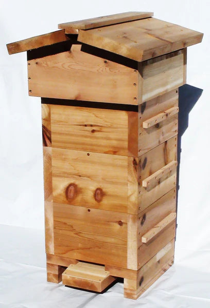 Warré Hive with windows from Rebel Bees (Complete and Assembled) – BeeBuilt