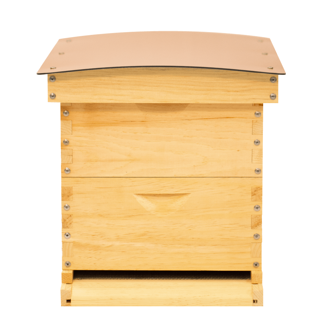 Standard Langstroth Hive (Medium) – BeeBuilt