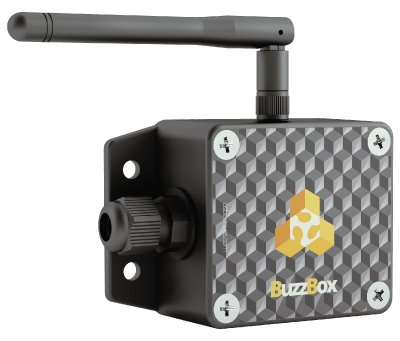 BuzzBox – BeeBuilt